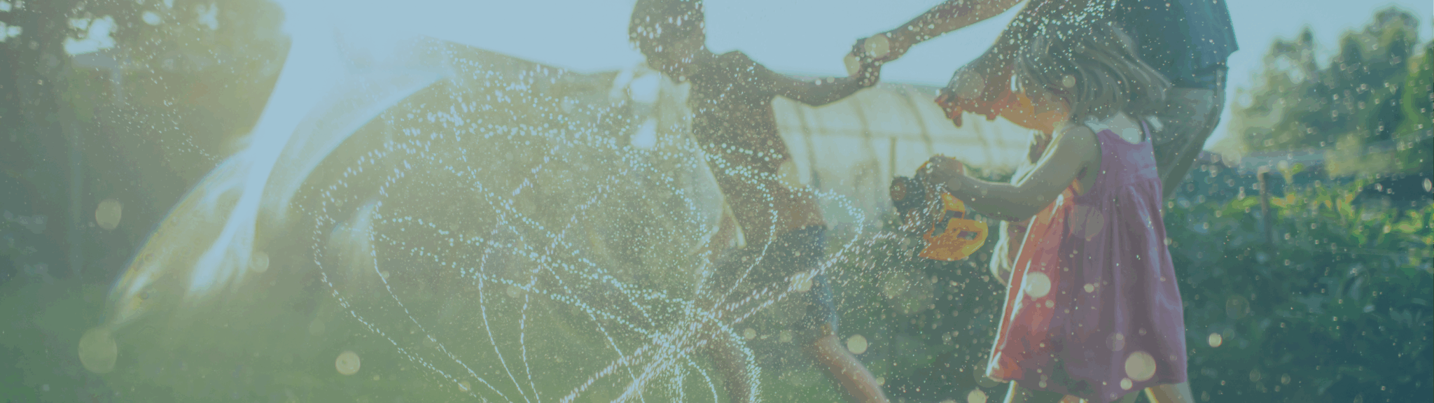 Special Initiatives The Philanthropic Initiative